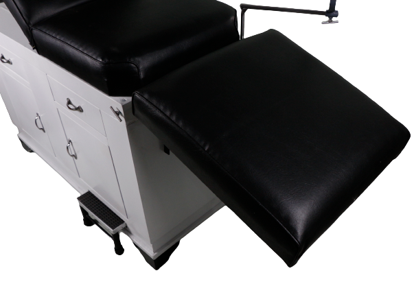 Hamilton Examination Table – Golden Horse Medical Supplies