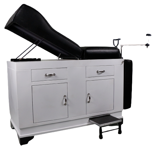 Hamilton Examination Table – Golden Horse Medical Supplies