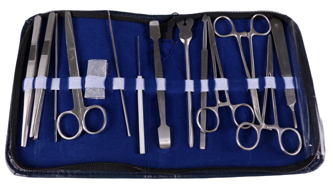 Secheron 14 pc Minor Dissecting Set – Golden Horse Medical Supplies