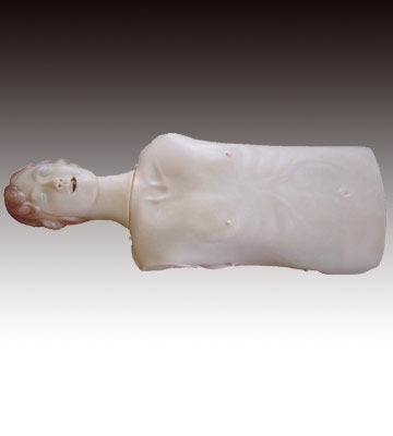 XC404B Half Body CPR Training Model (female) – Golden Horse Medical ...