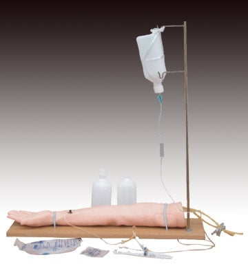 XC434 Injectable IV Arm Training Model – Golden Horse Medical Supplies
